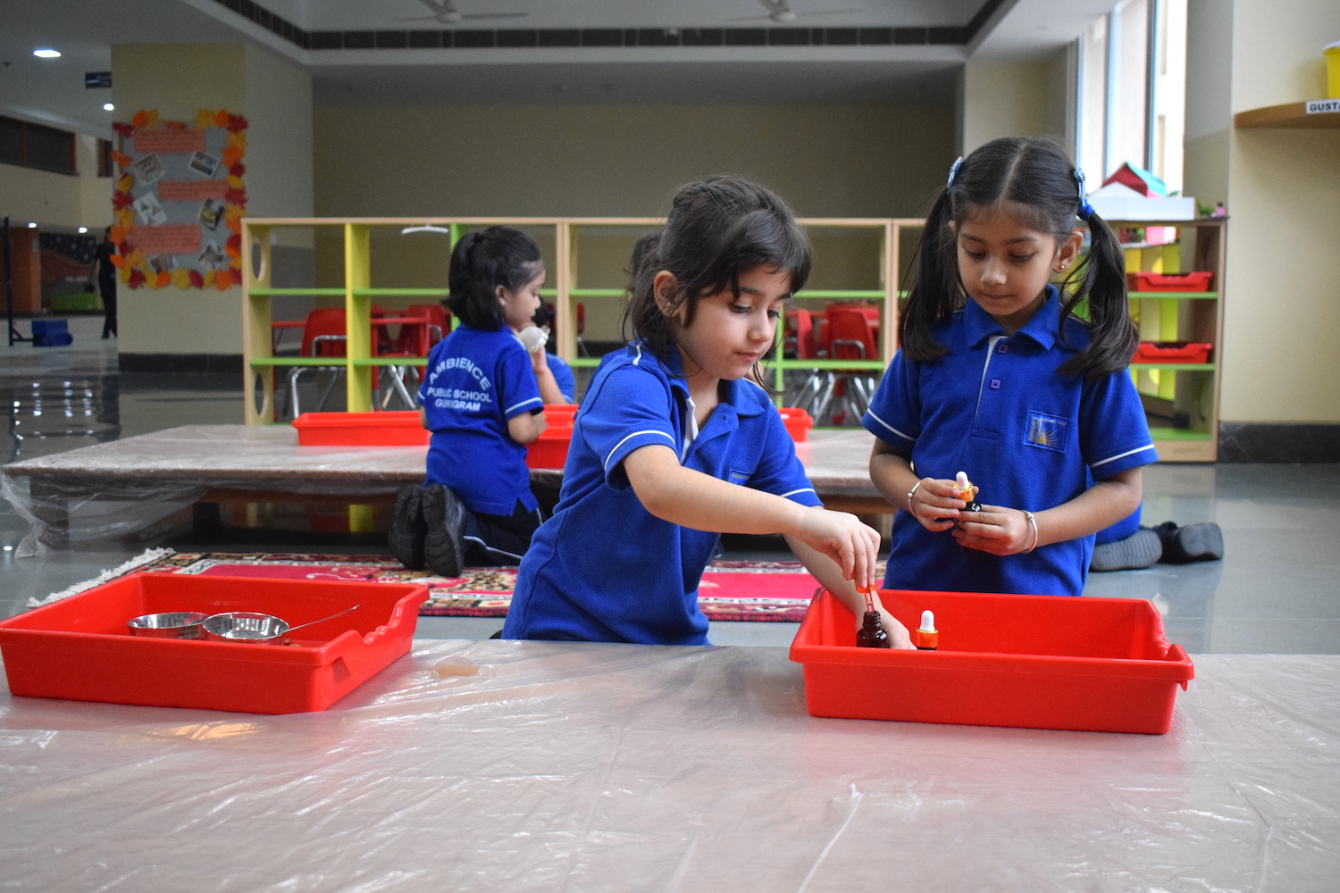 Ambience Public School, Gurugram - Amongst Top 10 CBSE Schools in India